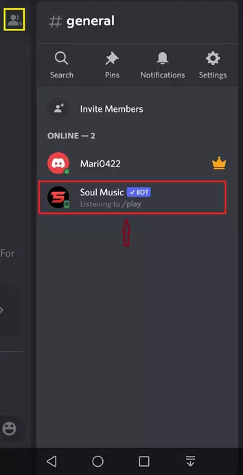 So spielen Sie Musik auf Discord ab 3753_27