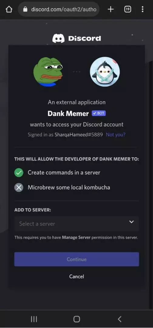 Cara Nambah Bot menyang Server Discord 3763_13