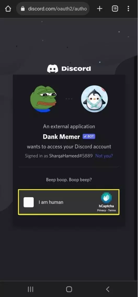 Cara Nambah Bot menyang Server Discord 3763_17