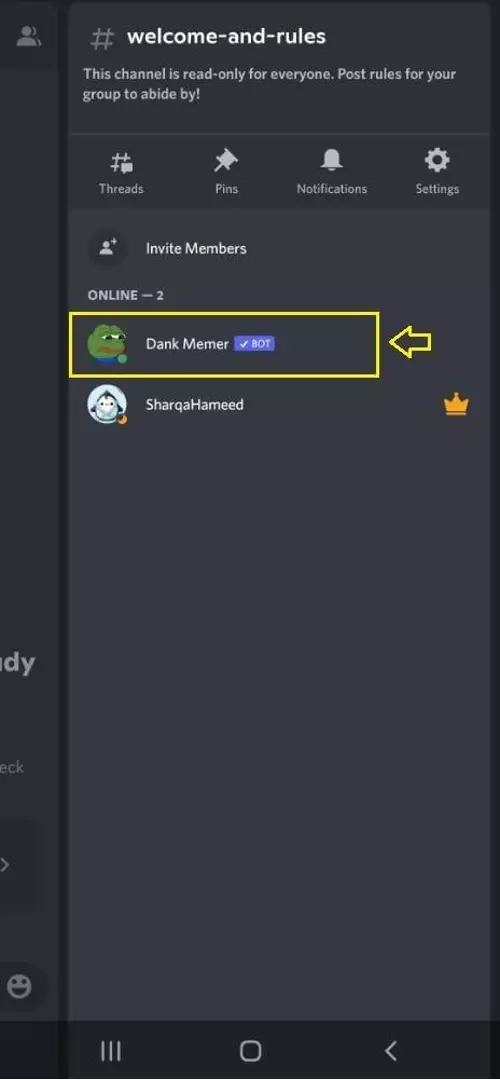 Sådan tilføjes bots til Discord-serveren 3763_19