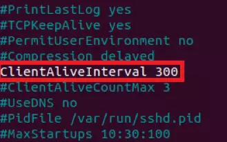 उबंटू 20.04 मधील एसएसएच सर्व्हर मूलभूत ते प्रगत कसे सुरक्षित करावे 3774_11