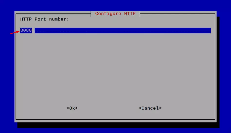 Jinsi ya kufunga Domoticz kwenye Raspberry Pi 4017_5