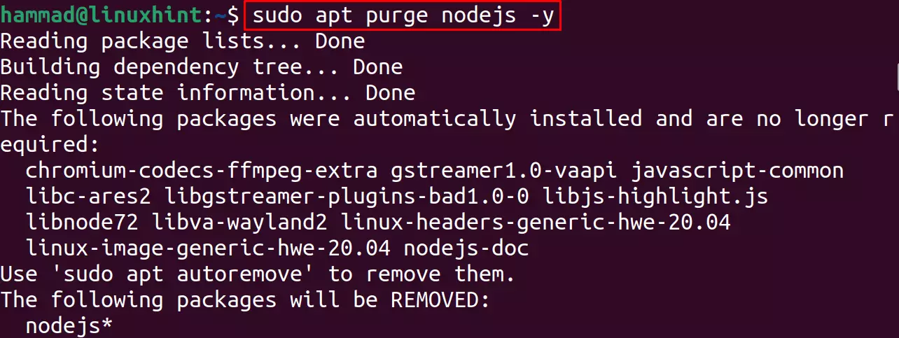 Litsela tse 3 tsa ho kenya Node.js ho Ubuntu 22.04 4060_16