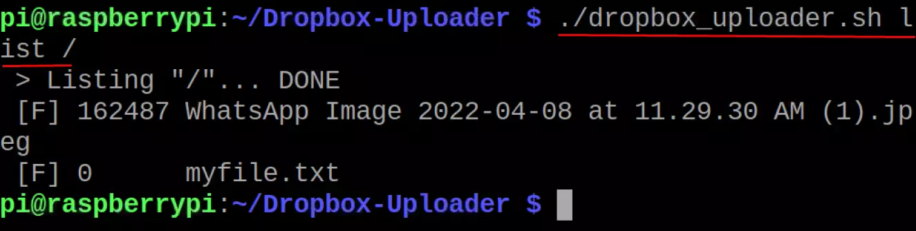 نحوه نصب و استفاده از Dropbox در Raspberry Pi 4065_19