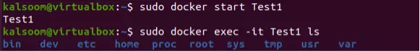 Docker-exec -it 4069_17