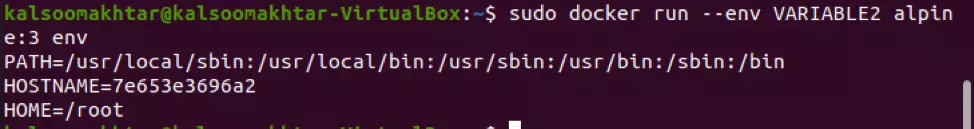 Paano Ipasa ang Mga Variable ng Environment sa isang Docker Container 4076_5