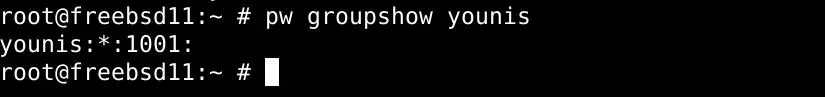 FreeBSD ਵਿੱਚ ਵ੍ਹੀਲ ਗਰੁੱਪ ਵਿੱਚ ਉਪਭੋਗਤਾਵਾਂ ਨੂੰ ਸ਼ਾਮਲ ਕਰੋ 4096_3