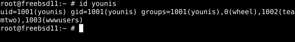 FreeBSD ਵਿੱਚ ਵ੍ਹੀਲ ਗਰੁੱਪ ਵਿੱਚ ਉਪਭੋਗਤਾਵਾਂ ਨੂੰ ਸ਼ਾਮਲ ਕਰੋ 4096_4
