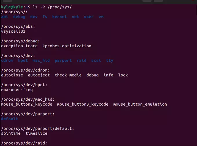 פקודת Sysctl Linux 40_1