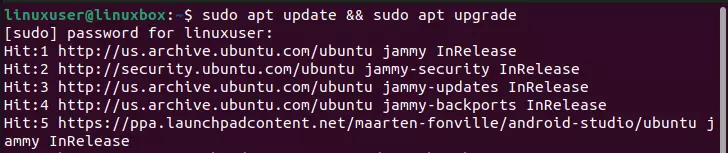 Ubuntu 22.04 中的 Ping 命令