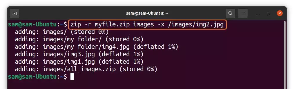 Come escludere file da un archivio zip in Linux 4153_2