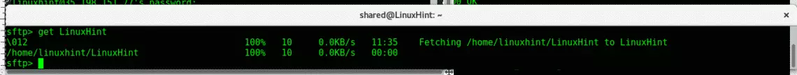 Gamit ang sftp mula sa command line ng Linux 4246_3