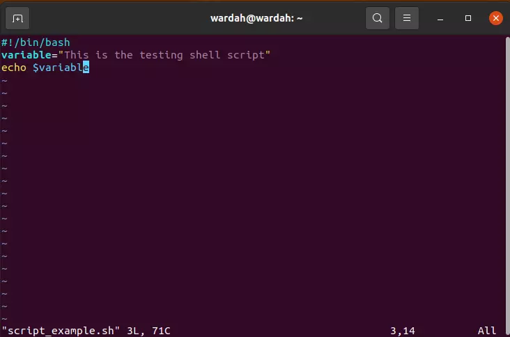 Linux හි සරල Shell Script එකක් සාදා ගන්නේ කෙසේද 4313_14