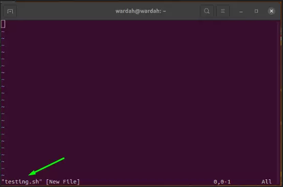 Linux හි සරල Shell Script එකක් සාදා ගන්නේ කෙසේද 4313_8