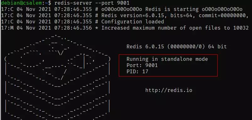 Hvordan endrer jeg standardporten for Redis 4396_2