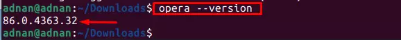 Kaip įdiegti „Opera“ žiniatinklio naršyklę „Ubuntu 22.04“. 4456_10
