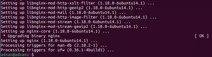 ئۇبۇنتۇ 22.04 غا NGINX نى قانداق ئورنىتىش كېرەك 4457_3