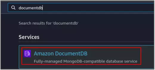 Com crear un clúster DocumentDB a AWS 4479_1