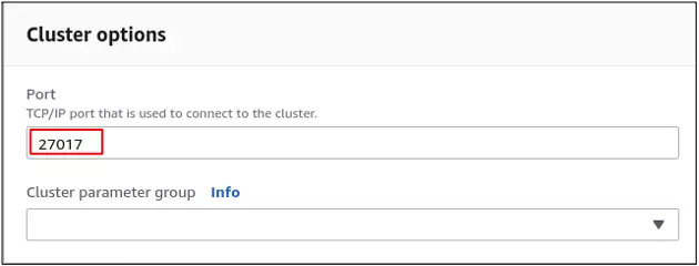 Kuidas luua AWS-is DocumentDB klastrit 4479_7