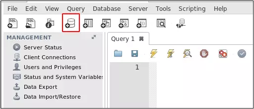 Како да се поврзам со AWS RDS користејќи MySQL работна маса 4490_28