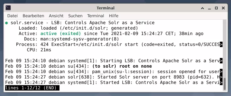 Apache Solr: Configurați un nod 4506_1