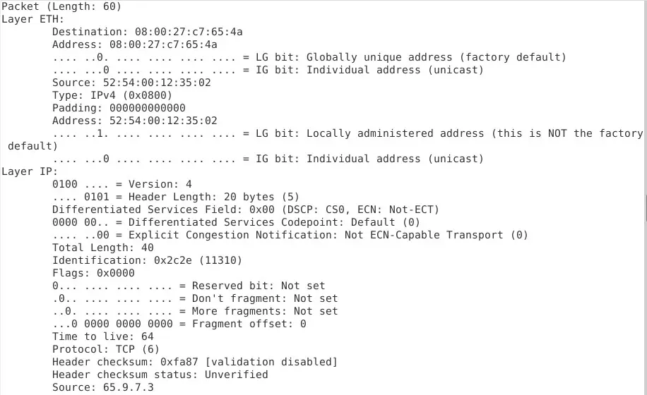 Nggawe Monitor Jaringan dhewe nganggo PyShark 4508_1