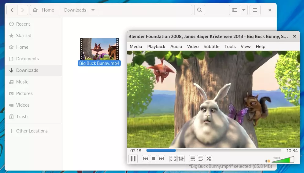 Как да инсталирате VLC Media Player на Fedora 35 4613_20