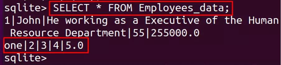 SQLite දත්ත වර්ග ලැයිස්තුව සහ විස්තරය 4774_5