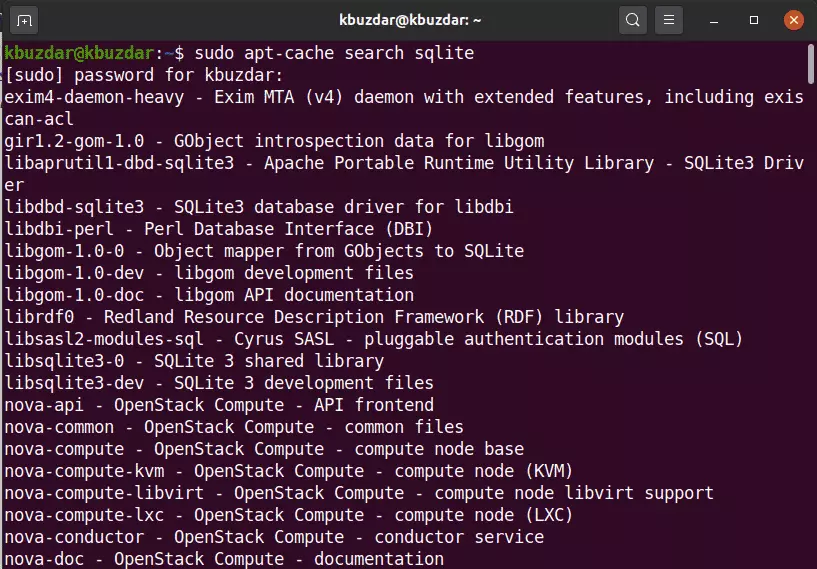 Suiteáil brabhsálaí SQLite i Ubuntu 20.04 4782_2