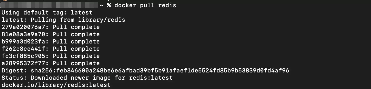 Com executar Redis a Docker 4812_1