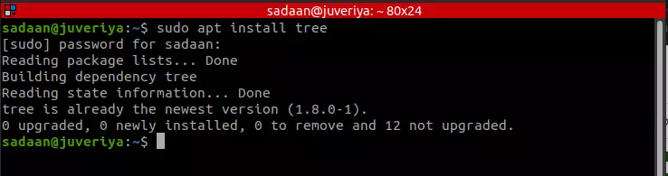 如何在 Linux 上安裝樹