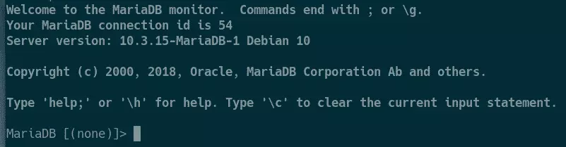 Debian 10 တွင် WordPress ဖွံ့ဖြိုးတိုးတက်မှုပတ်ဝန်းကျင်ကို သတ်မှတ်ခြင်း။ 5048_21