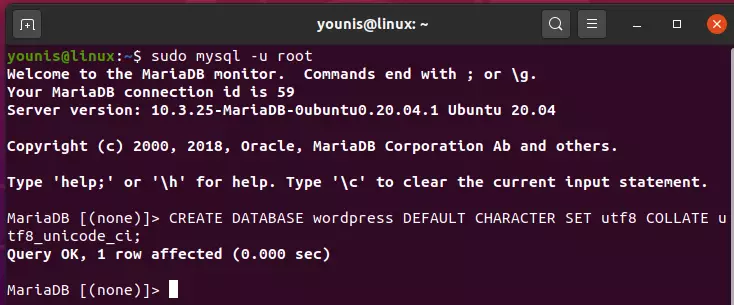 Yuav ua li cas rau nruab WordPress ntawm Ubuntu Server 5051_23