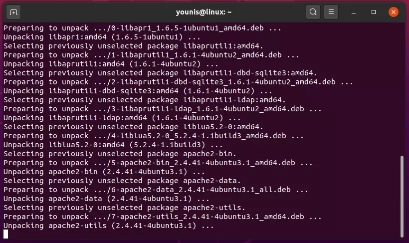 Yuav ua li cas rau nruab WordPress ntawm Ubuntu Server 5051_3