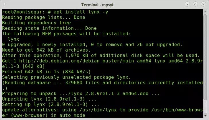 Прелистување на интернет од терминалот Linux 5052_1