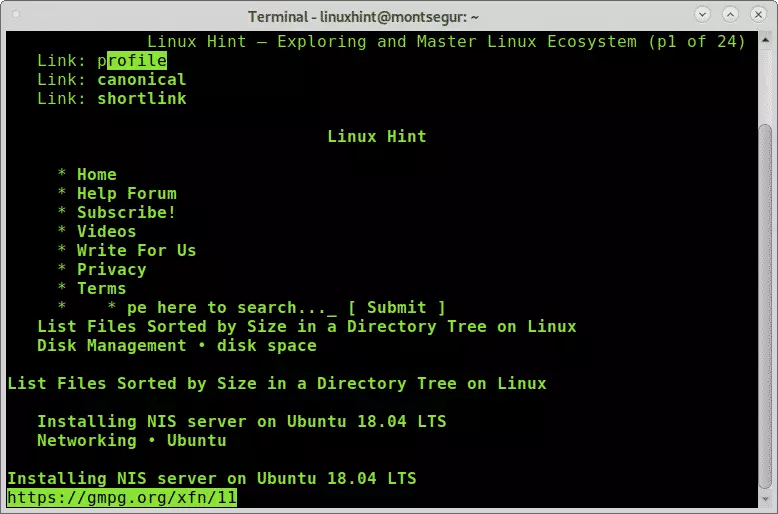 Veebi sirvimine Linuxi terminalist 5052_12