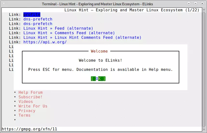 Pag-browse sa web gikan sa terminal sa Linux 5052_15