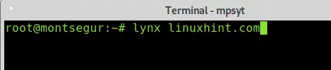 Veebi sirvimine Linuxi terminalist 5052_2