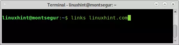 Прелистување на интернет од терминалот Linux 5052_6