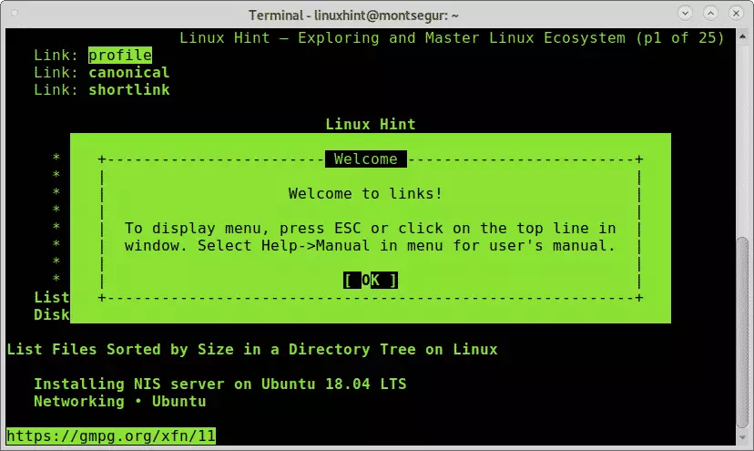 Netin selaaminen Linux-päätteestä 5052_7