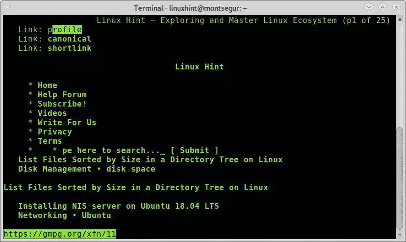 Linux terminalinden web'de gezinme 5052_8
