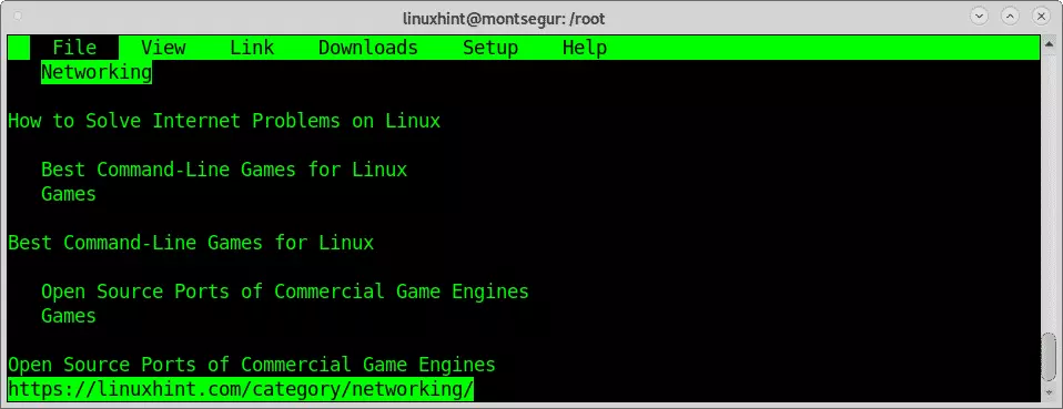 Netin selaaminen Linux-päätteestä 5052_9