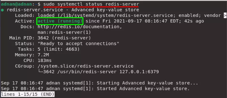 Kuidas installida Redis Debian 11-sse 5056_2