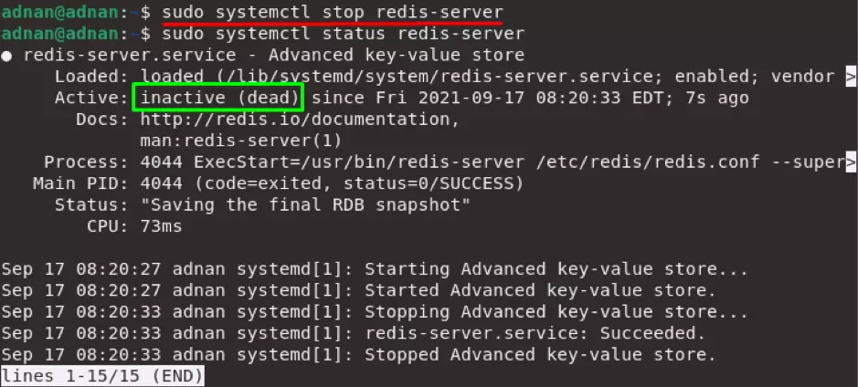 כיצד להתקין Redis ב-Debian 11 5056_3