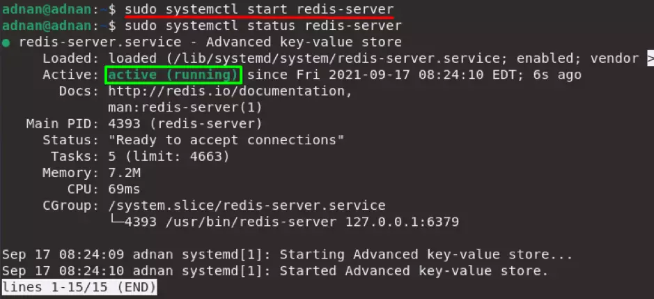 Kaip įdiegti Redis Debian 11 5056_4