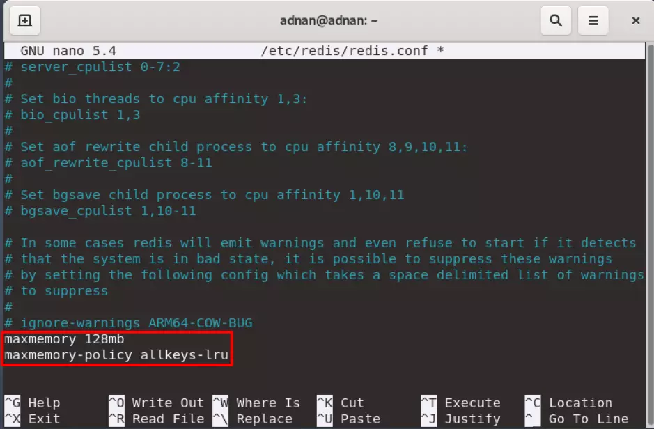 Giunsa i-install ang Redis sa Debian 11 5056_7