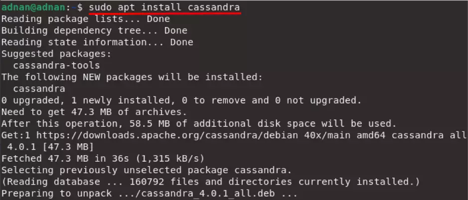 Debian 11 дээр Кассандра хэрхэн суулгах талаар 5058_6