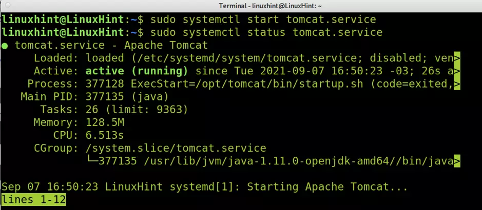 Дебиан 11-дә Apache Tomcat-ны ничек урнаштырырга 5065_24