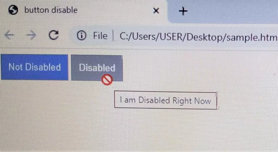 CSS డిసేబుల్ బటన్ 5178_6