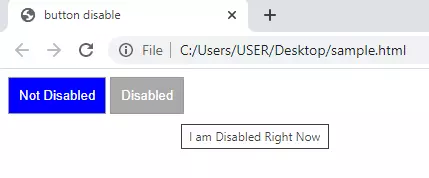 CSS డిసేబుల్ బటన్ 5178_7